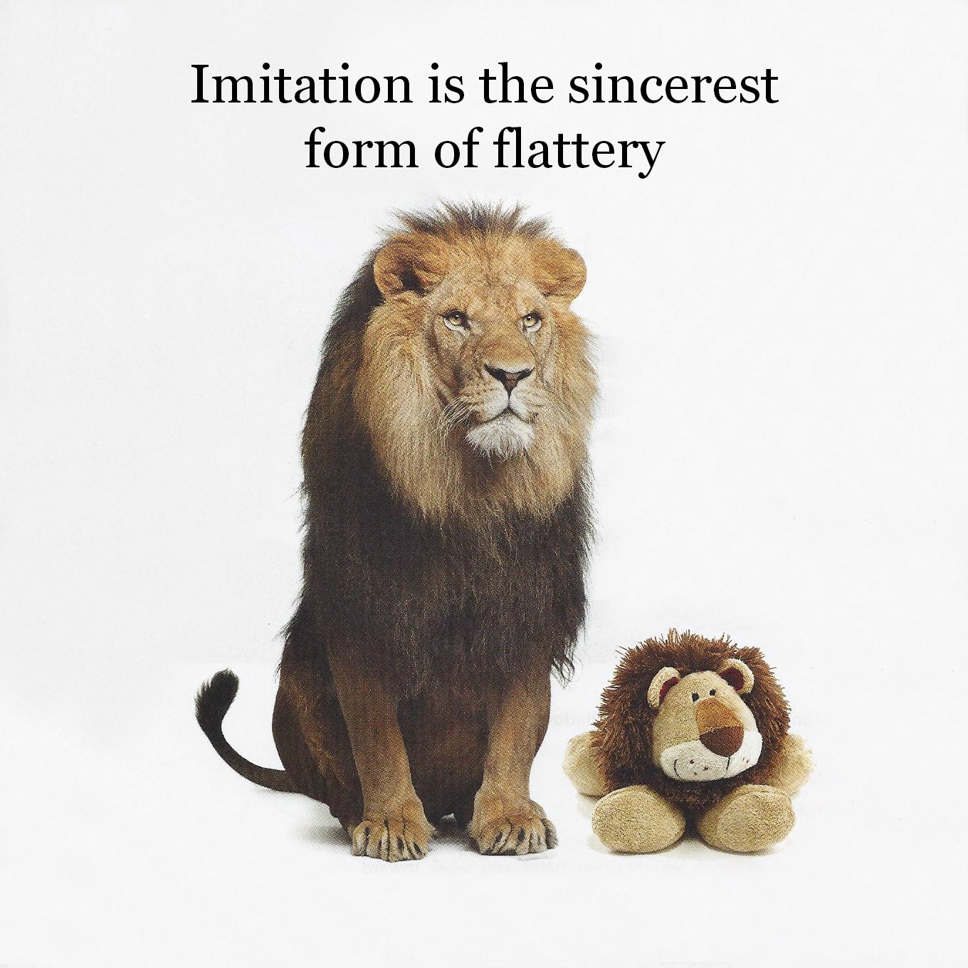 Is Imitation More Valuable Than Innovation Is Imitation More Valuable Than Innovation